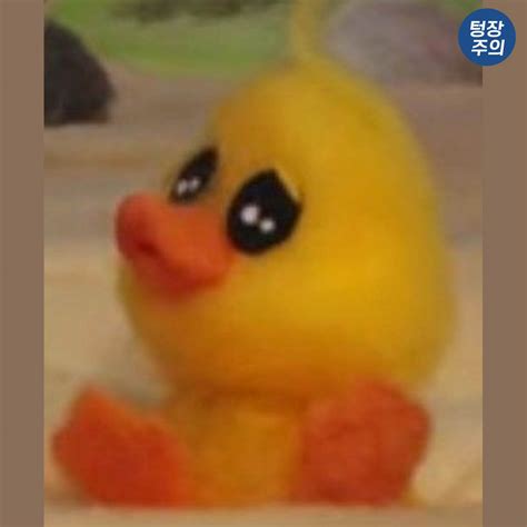 Mysql Index 2 커버링 인덱스 Covering Index란 무엇인가