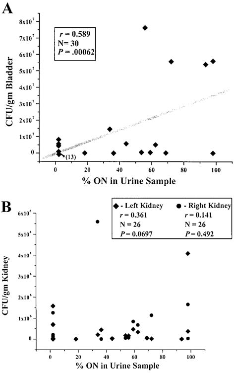Correlation Of CFU In Bladder Or Kidney Tissue With Percent ON In Urine Download Scientific