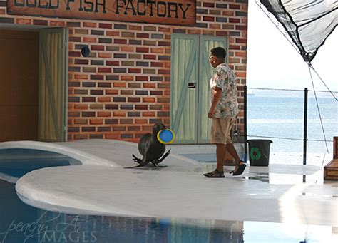 Ocean Adventure Subic Bay Mommy Peach