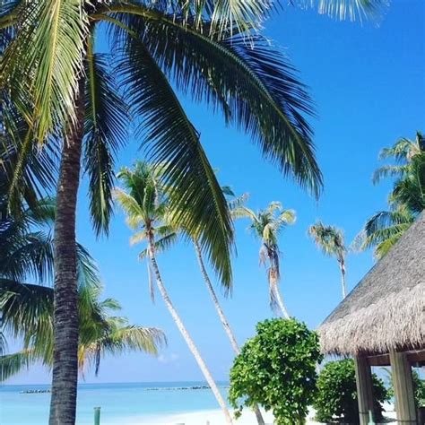 Sso Ho • Threads Say More