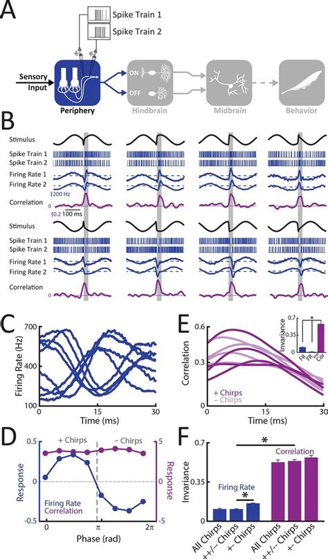 Figures And Data In Neural Correlations Enable Invariant Coding And Perception Of Natural
