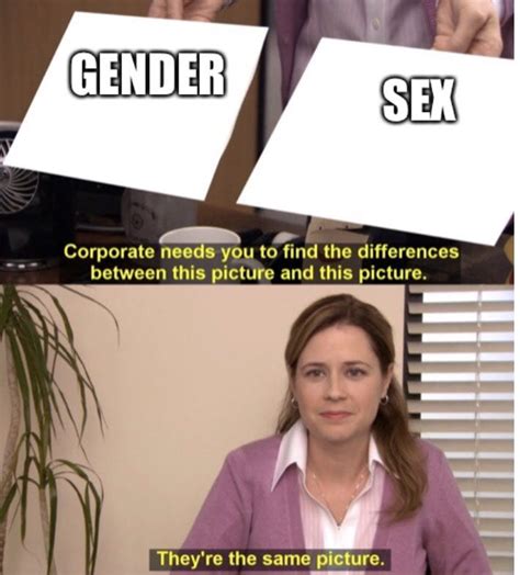 Gender And Sex Arent They The Same Gender And Environmental Pollution