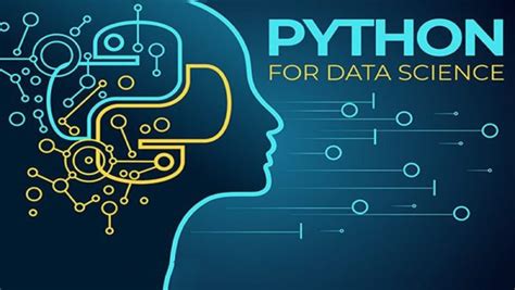 Step By Step Instructions For Learning Python For Data Science Managex
