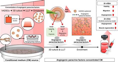 Increasing Angiogenic Efficacy Of Conditioned Medium Using Light