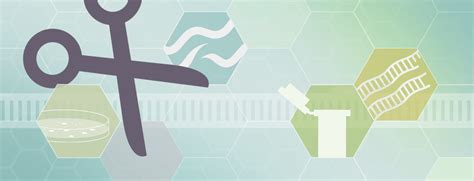 Genetic Engineering Kits — Bio Rad