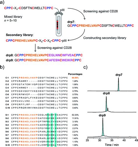 Selection Of Cppcdrps Binding Cd28 A Schematic View Of The Library Download Scientific