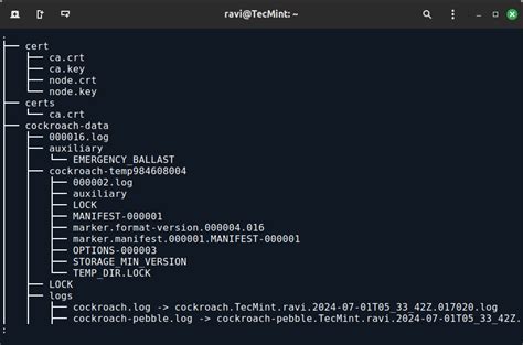 11 lesser known useful linux commands for everyday use