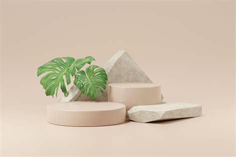 제품 연단 화장품 프리젠 테이션을 형성 돌과 작은 식물의 모의 3d 렌더링 강단에 대한 스톡 사진 및 기타 이미지 강단 생활필수품 무대 Istock