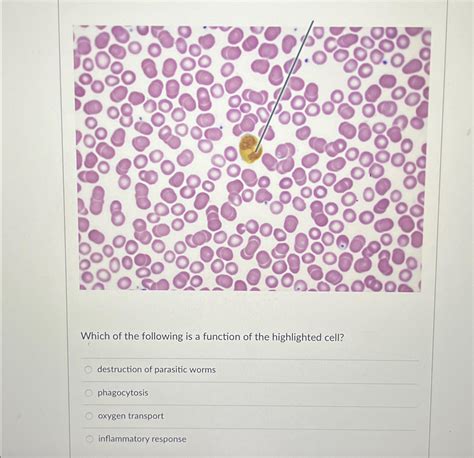 Solved Which Of The Following Is A Function Of The