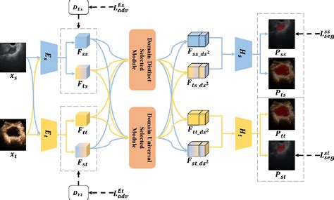 A Multi Modality Ovarian Tumor Ultrasound Image Dataset For Unsupervised Cross Domain Semantic