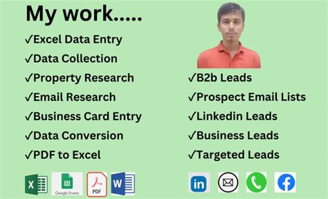 do data entry and word pdf to excel and copy paste web research by