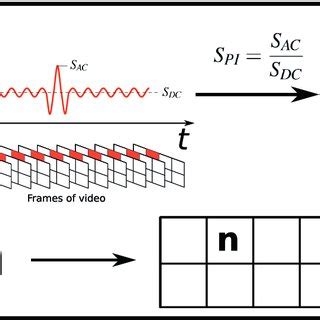 Illustration Of The Calculation Of Perfusion Index For Each Single Download Scientific Diagram
