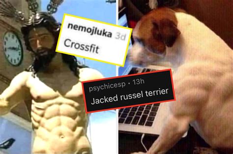 21 Screenshots Of Hilarious Internet Comments That Made Me Pee Myself Figuratively And Ok