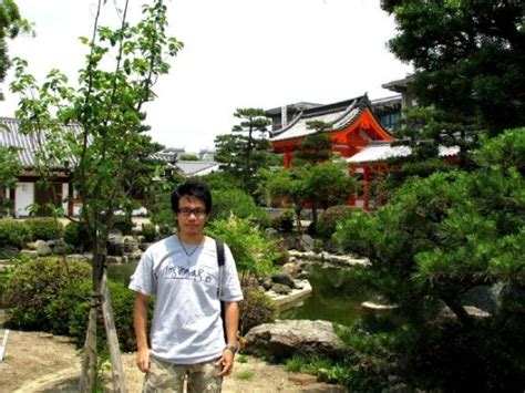 京都府标志 都府标章 都府 第2页 大山谷图库