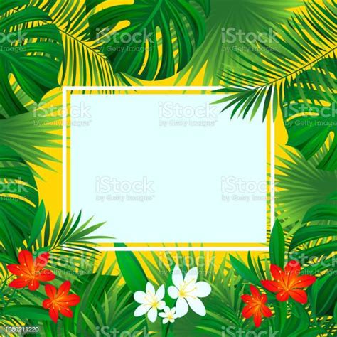 꽃 열 대 프레임입니다 꽃 벡터 일러스트 레이 션 정글 식물 야자수 잎 배경입니다 아름 다운 트로픽 테두리 프레임입니다 여름