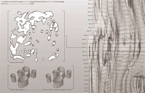 integrated parametric delivery 3 t splines grasshopper