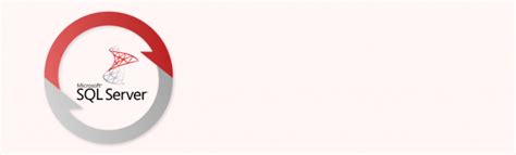 How To Back Up The Sql Server 2008