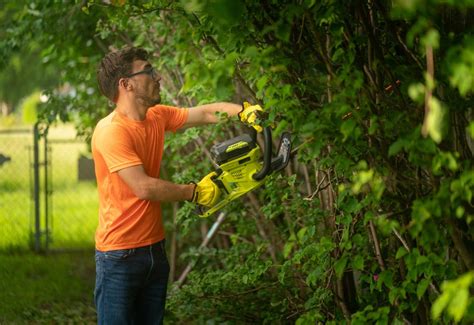 Understanding The Role Of Tree Pruning In Storm Damage Prevention