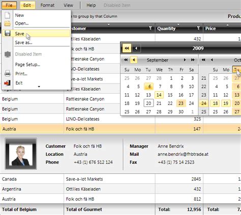 Q1 Themes Rework For Silverlight And Wpf