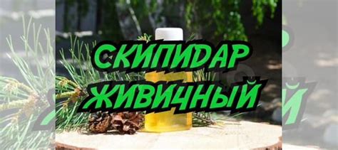 Скипидар Живичный купить в Волгограде | Готовый бизнес и оборудование ...