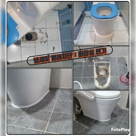 관악화장실냄새 관악하수구냄새 송파화장실냄새 송파하수구냄새 변기 주방 씽크대 싱크대 욕실 배수구 베란다 우수관 양병기 대변기 냄새 악취 트랩 벌레 차단 제거 퇴치 냄새박사