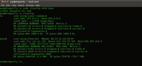 How To Quickly Enable Disable Wired And Wireless Networks Using Linux Mint Ubuntu Terminal