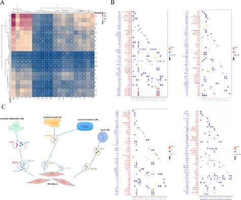 Cell Communication Analysis Revealed The Ligand Receptor Interaction Download Scientific
