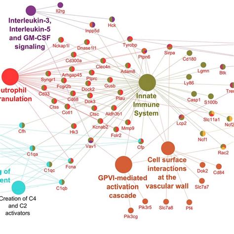 Pathways Significantly Enriched With Downregulated Transcripts After Download Scientific