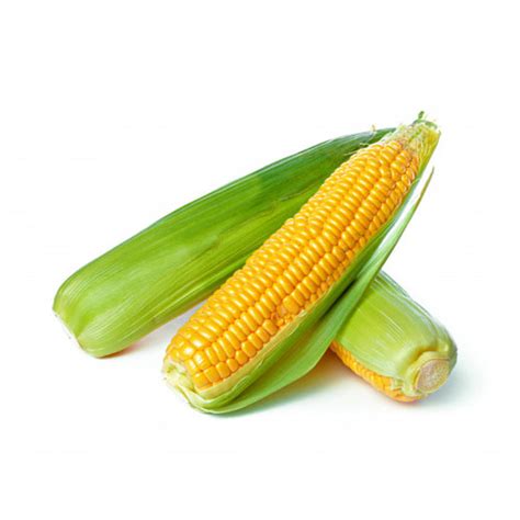 Corn On The Cob