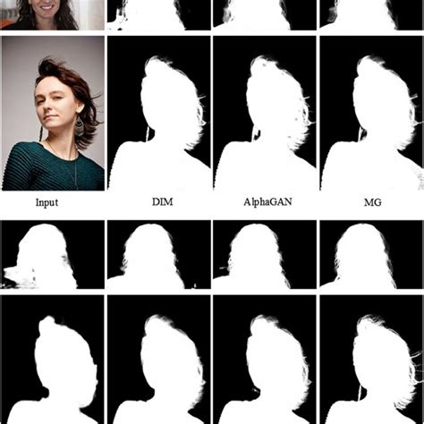 Visual Comparisons With Trimap Fake On Ppm100 Download Scientific Diagram