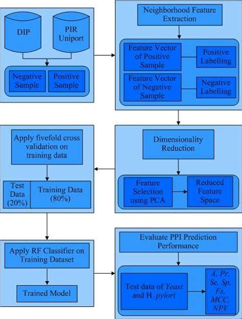 Flowchart Of Caa Ppi Approach Download Scientific Diagram