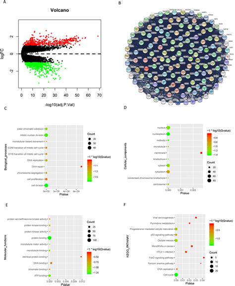 identification hypoxic related differentially expressed genes degs