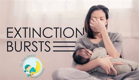 What Are Extinction Burts And How Do We Deal With Them To The Moon