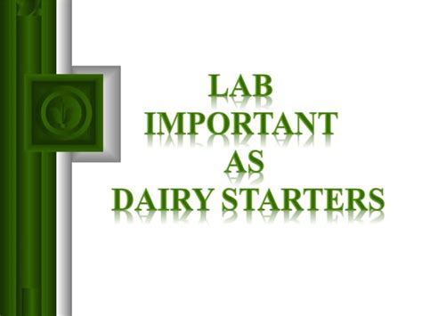 Classification Of Lactic Acid Bacteria Ppt
