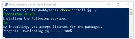How To Install And Use Jq On Windows Bobbyhadz