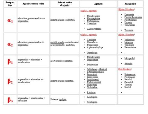 Adrenergic Receptors Artofit