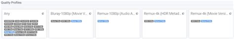 How To Setup Custom Formats Trash Guides
