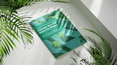 Maturity Model Imasons Climate Accord