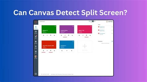 Can Canvas Detect Split Screen Latest Guide 2024 Roboreachai