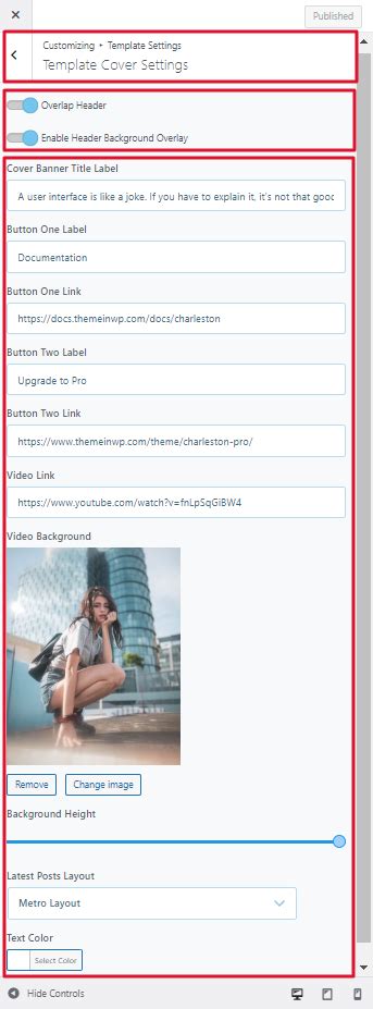 Template Settings ThemeinWP Documentation