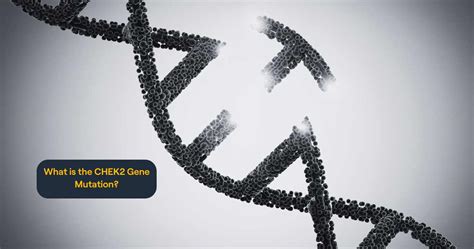 What Is The Chek2 Gene Mutation Manta Cares