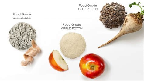 Biopolymers What They Are Why They Are Environmentally Friendly And Profitable