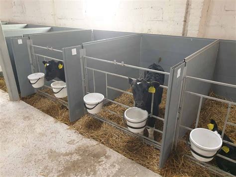 Оборудование для коровника Купить оборудование для ферм КРС