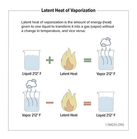 heat of vaporization biology