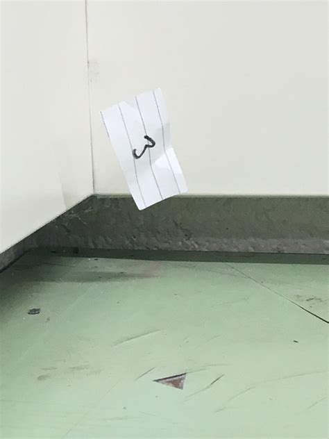 A Piece Of Paper Got Stuck In A Cobweb And Now It Looks Like Its Floating R Highbabe