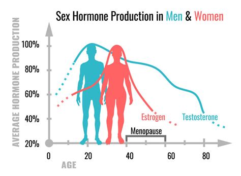 Testosterone Unveiling Its Crucial Functions And The Underlying
