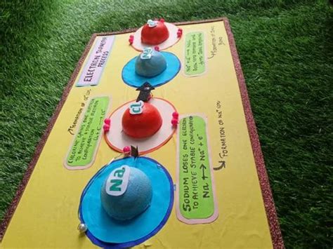 Electron Transfer Process Model At ₹ 500 In New Delhi Id 2854361369888