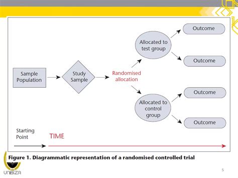 6 Randomised Controlled Trial Pdf Physical Therapy Wellness