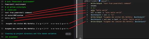 Correct Way And Rights To Execute Wsl In Powershell In A Pipeline Gitlab Cicd Gitlab Forum