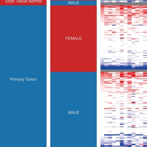 Hierarchical Clustering Of Hub Genes Was Constructed Using Ucsc Xena Download Scientific